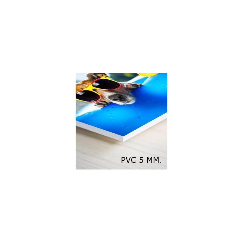 pvc impreso - Carteles fotográficos- Impresión online - forex impresión